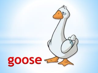 Alphabet_flashcards | PPTX