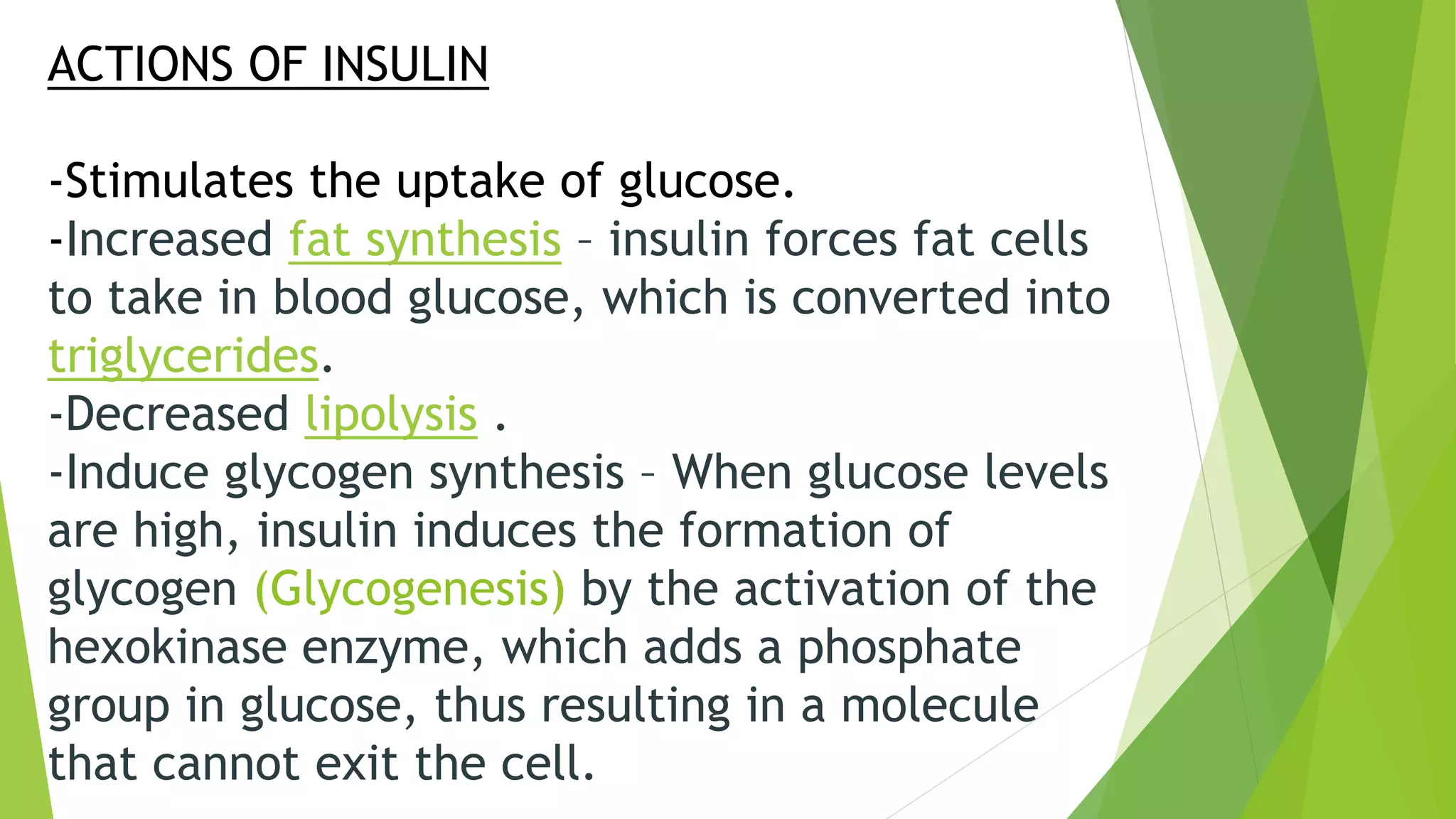 Islets of langerhans | PPTX