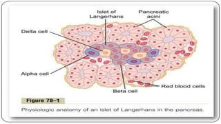 Islets of langerhans | PPTX