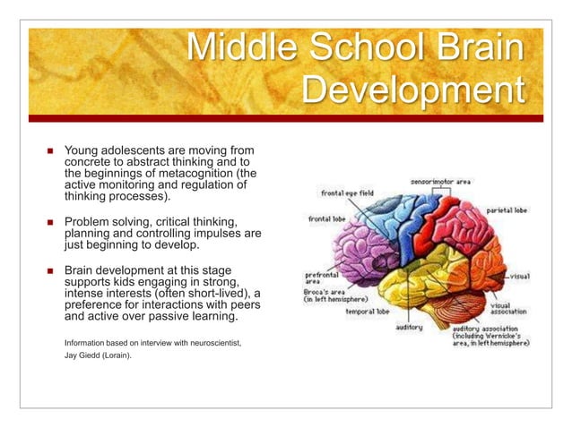 Islma presentation | PPT | Free Download