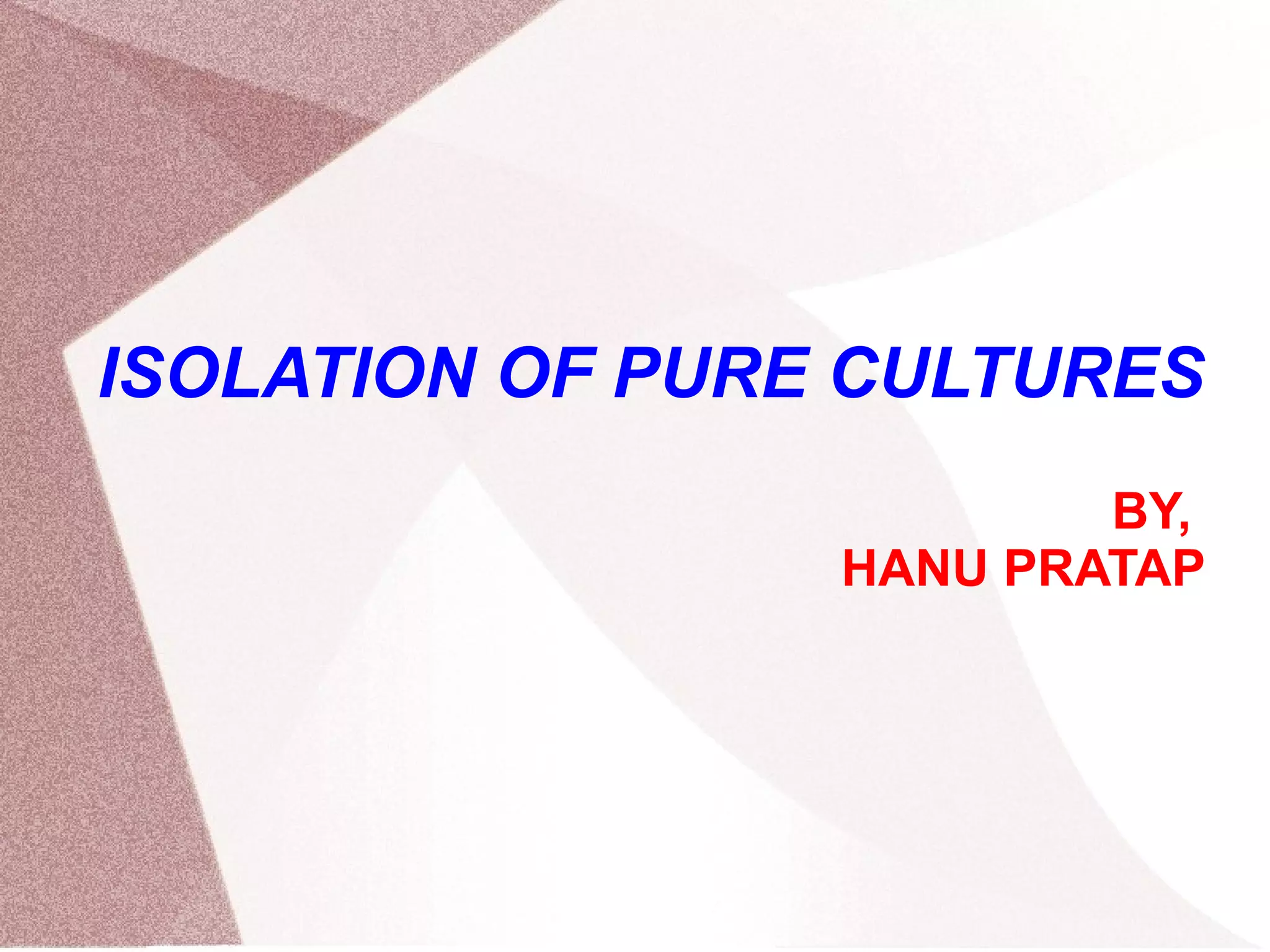 Isolation of Pure culture | PPT