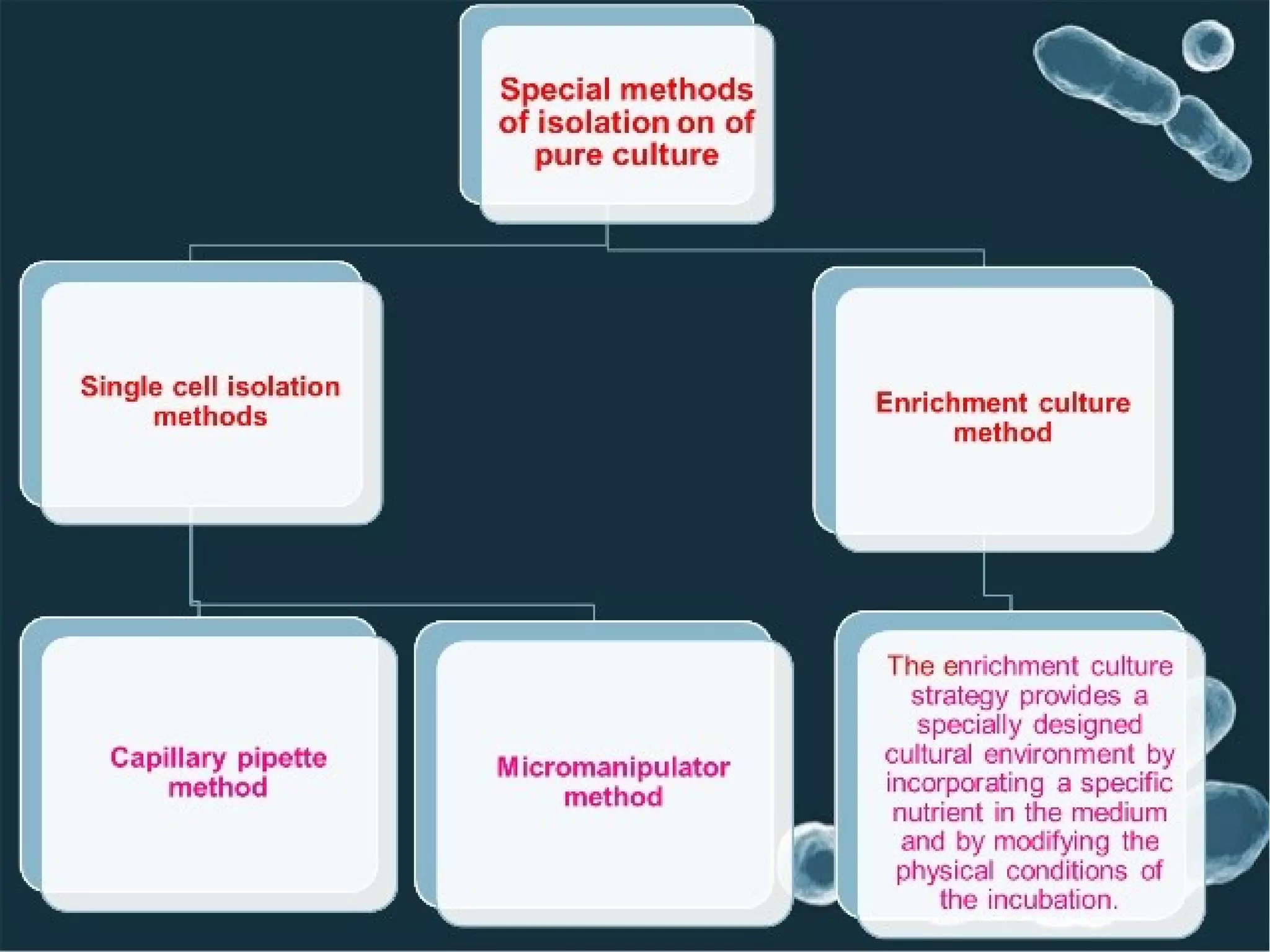 Isolation of Pure culture | PPT