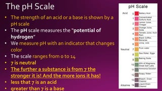 Copy_of_Acids_and_Bases.pptx