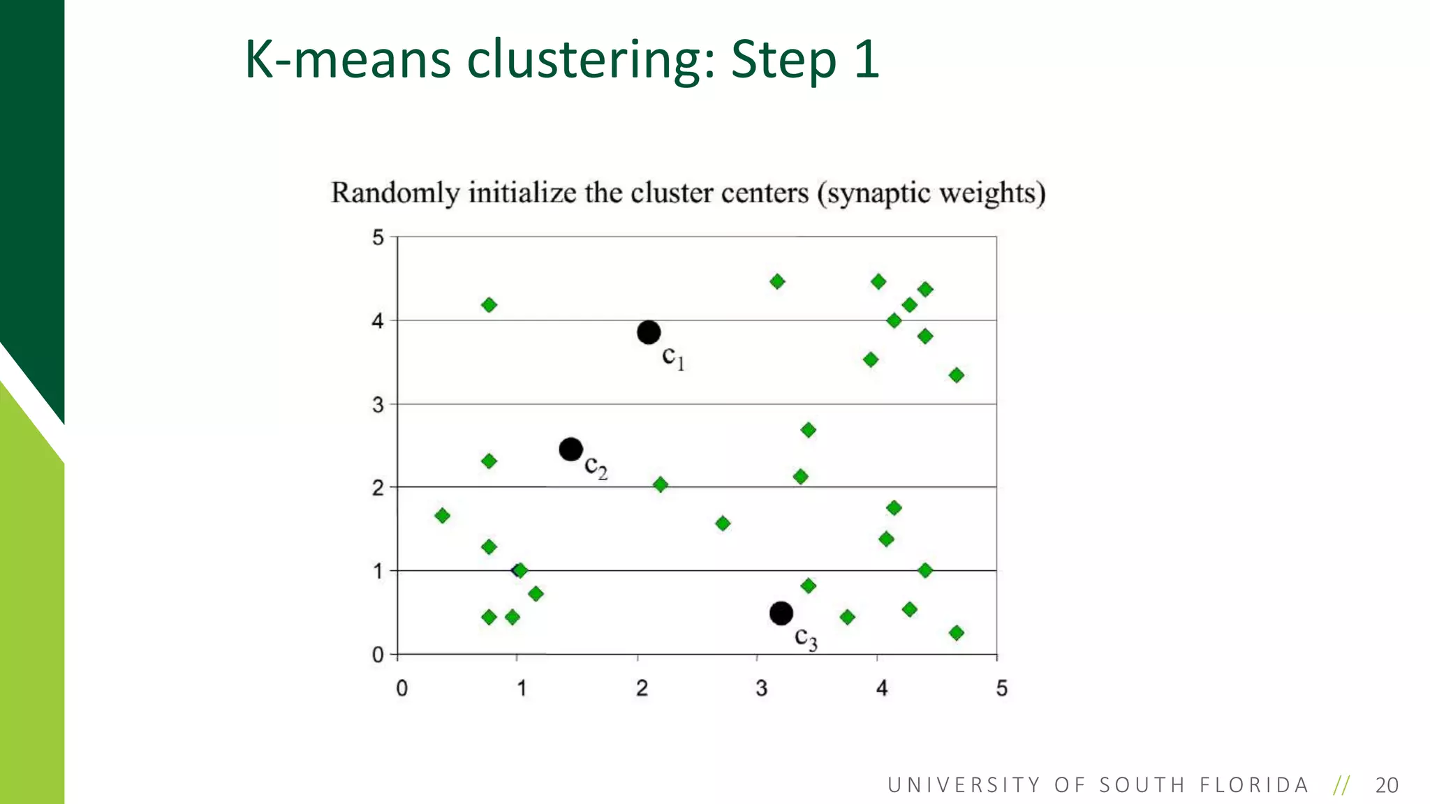 Segmentation: Clustering and Classification | PPTX