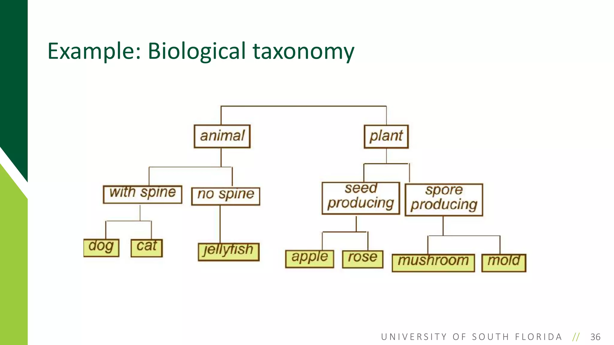Segmentation: Clustering and Classification | PPTX