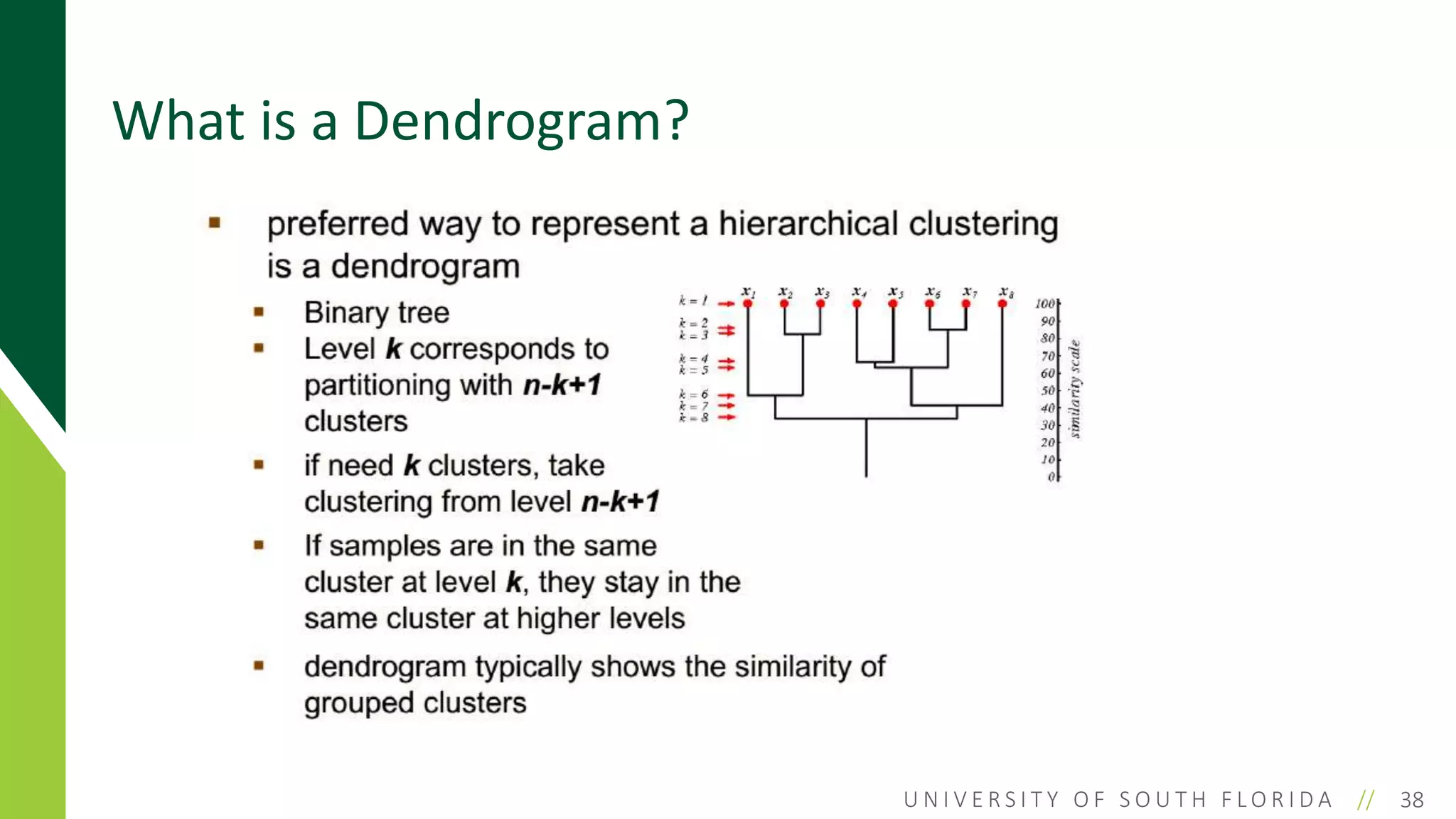 Segmentation: Clustering and Classification | PPTX