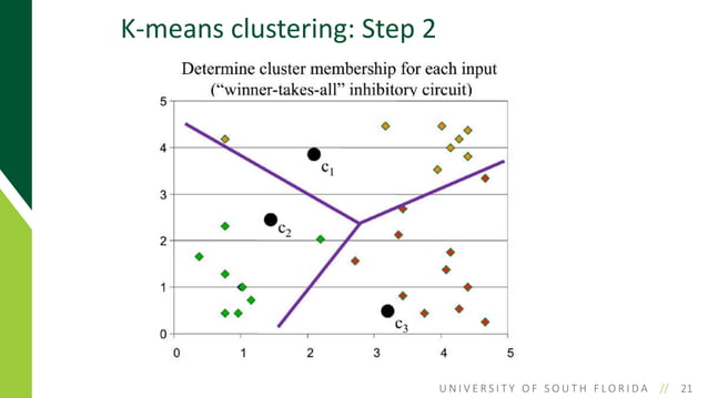 Segmentation: Clustering and Classification | PPTX