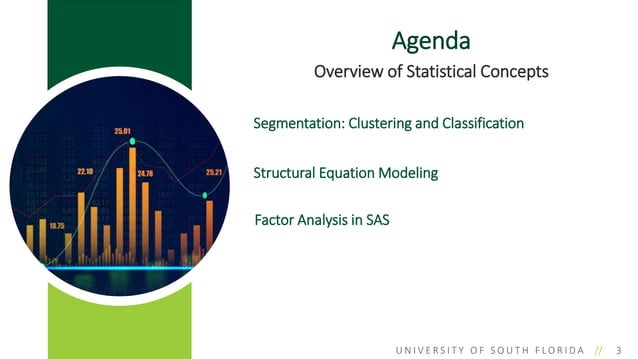 Segmentation: Clustering and Classification | PPTX