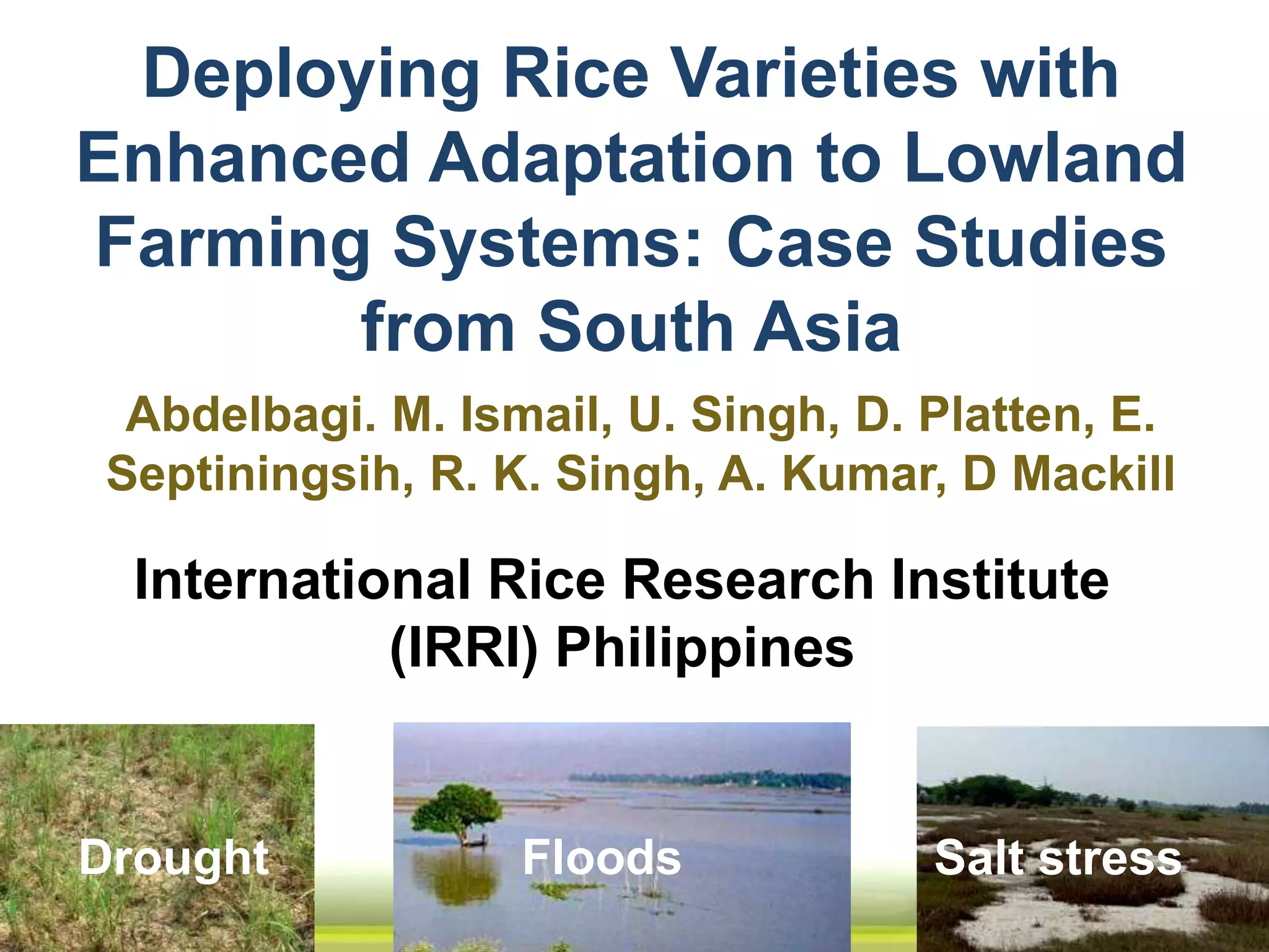 " Developing rice varieties with enhanced adaptation to lowland farming ...