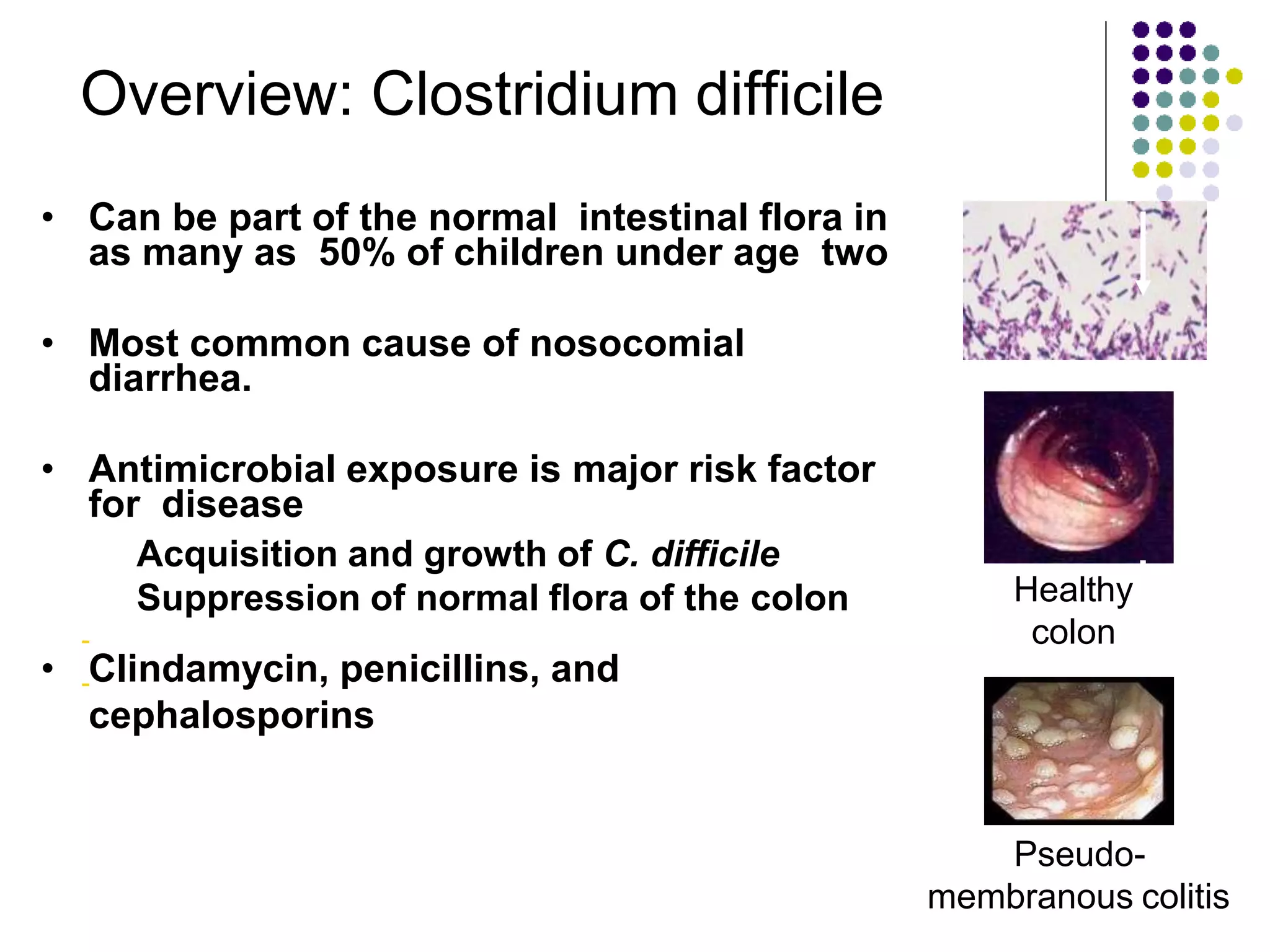 clostridium difficile by Ismail surchi | PPT