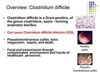 clostridium difficile by Ismail surchi | PPT