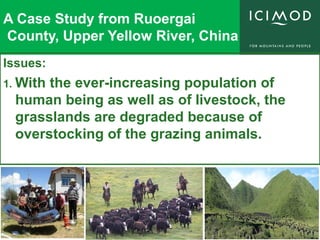 Ismail MUHAMMAD "Developing an integrated mechanism for combating ...