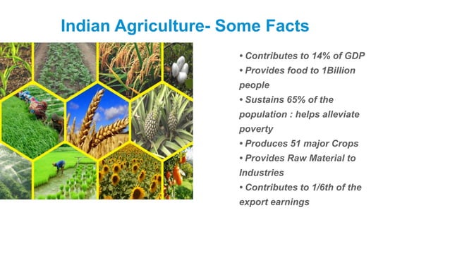 agriculture of india ppt | PPTX | Agriculture | Industries