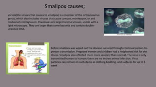 smallpox | PPTX