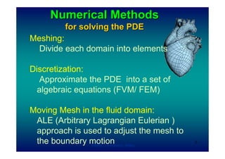 FSI of impedance pump by Idit Avrahami | PDF | Physics | Science