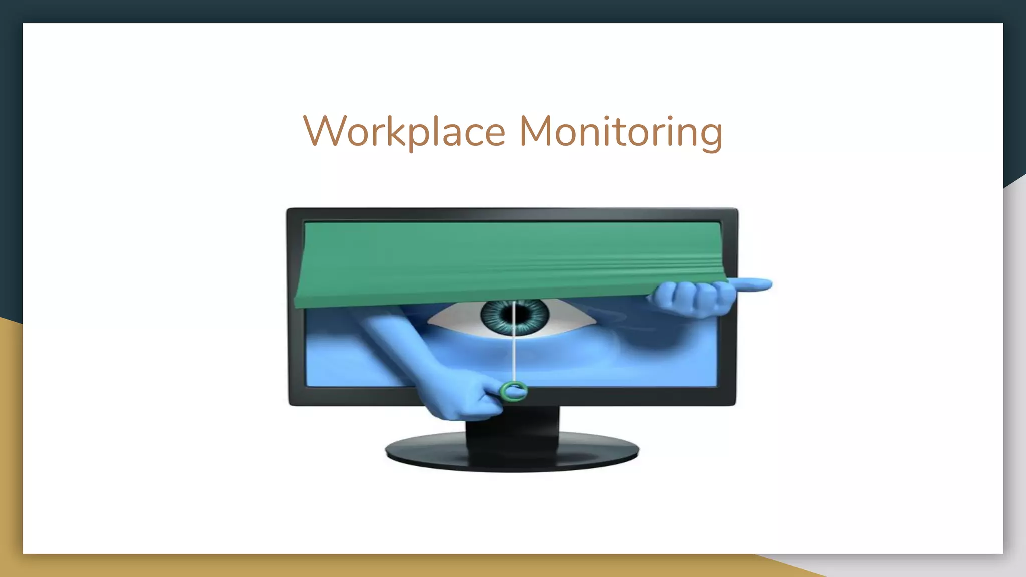 Workplace Monitoring | PDF