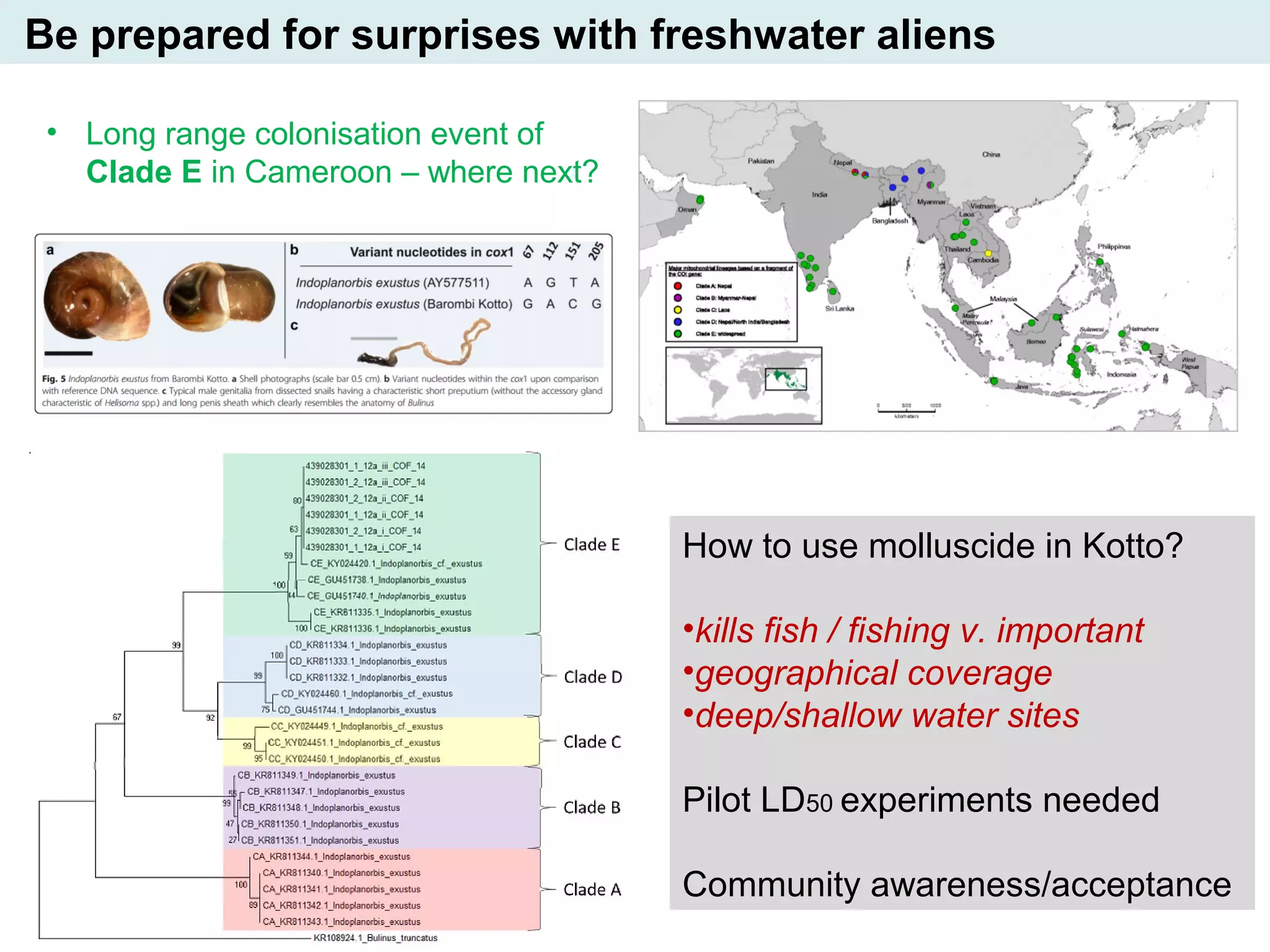 Interrupting Schistosomiasis Transmission: Taking sensible steps in ...