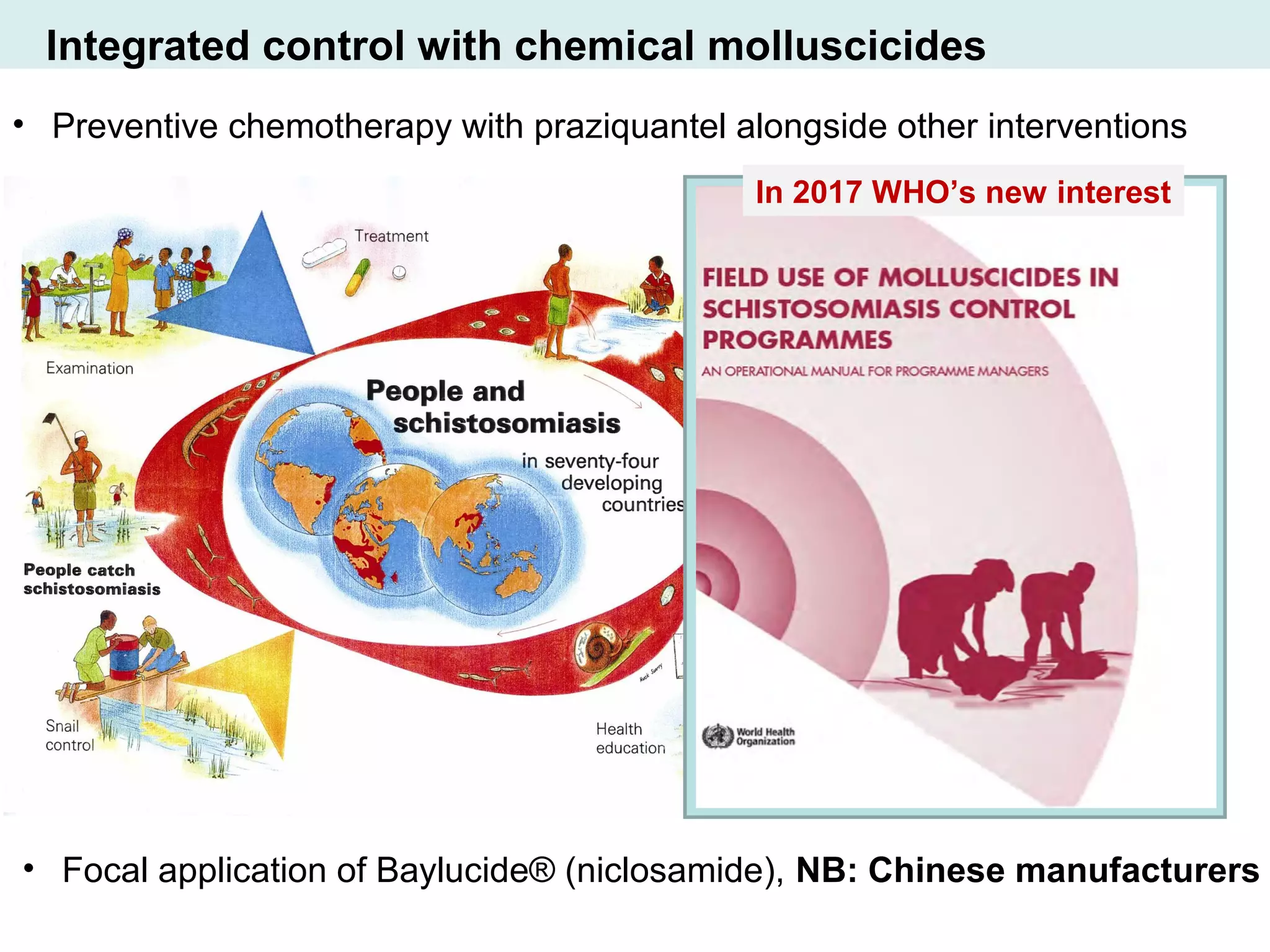 Interrupting Schistosomiasis Transmission: Taking sensible steps in ...