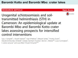 Interrupting Schistosomiasis Transmission: Taking sensible steps in ...