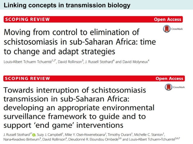 Interrupting Schistosomiasis Transmission: Taking sensible steps in ...