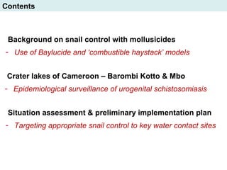 Interrupting Schistosomiasis Transmission: Taking sensible steps in ...