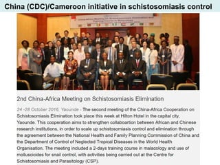 Interrupting Schistosomiasis Transmission: Taking sensible steps in ...