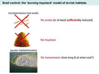 Interrupting Schistosomiasis Transmission: Taking sensible steps in ...