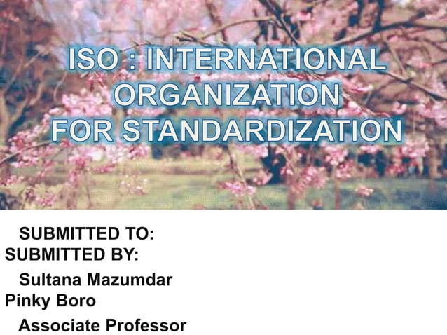 ISO - International Organization for Standardization | PPT