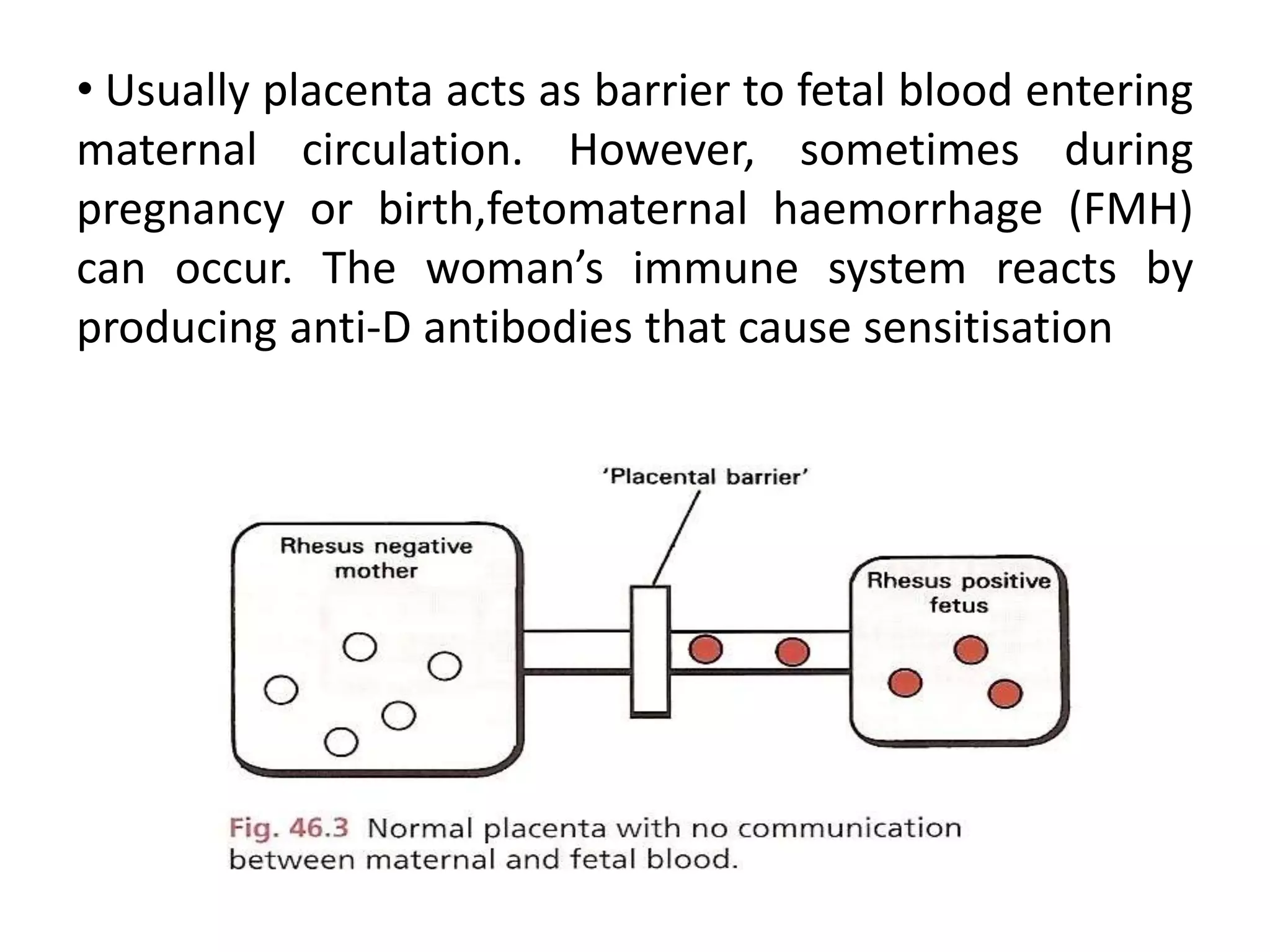 Iso immune disease | PPTX