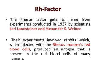 Iso immune disease | PPTX