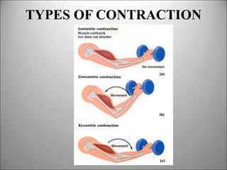 Iso inertial exercise technology | PPT