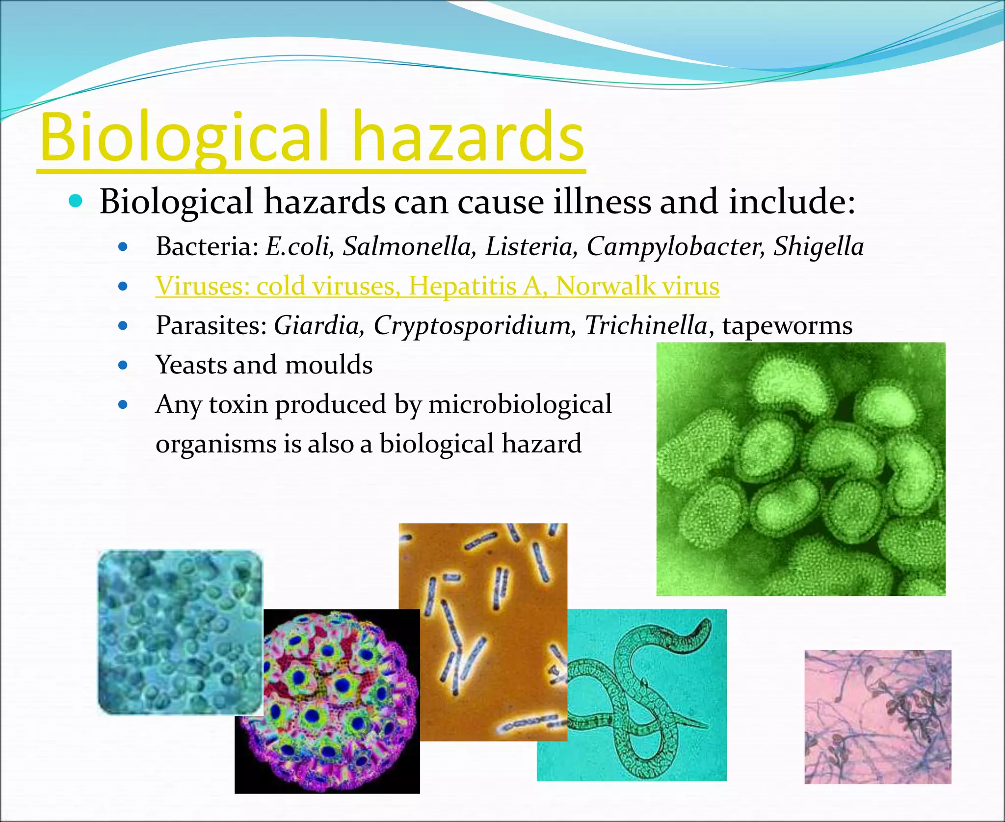 ISO 22000-HACCP AWARENESS TRAINING.ppt