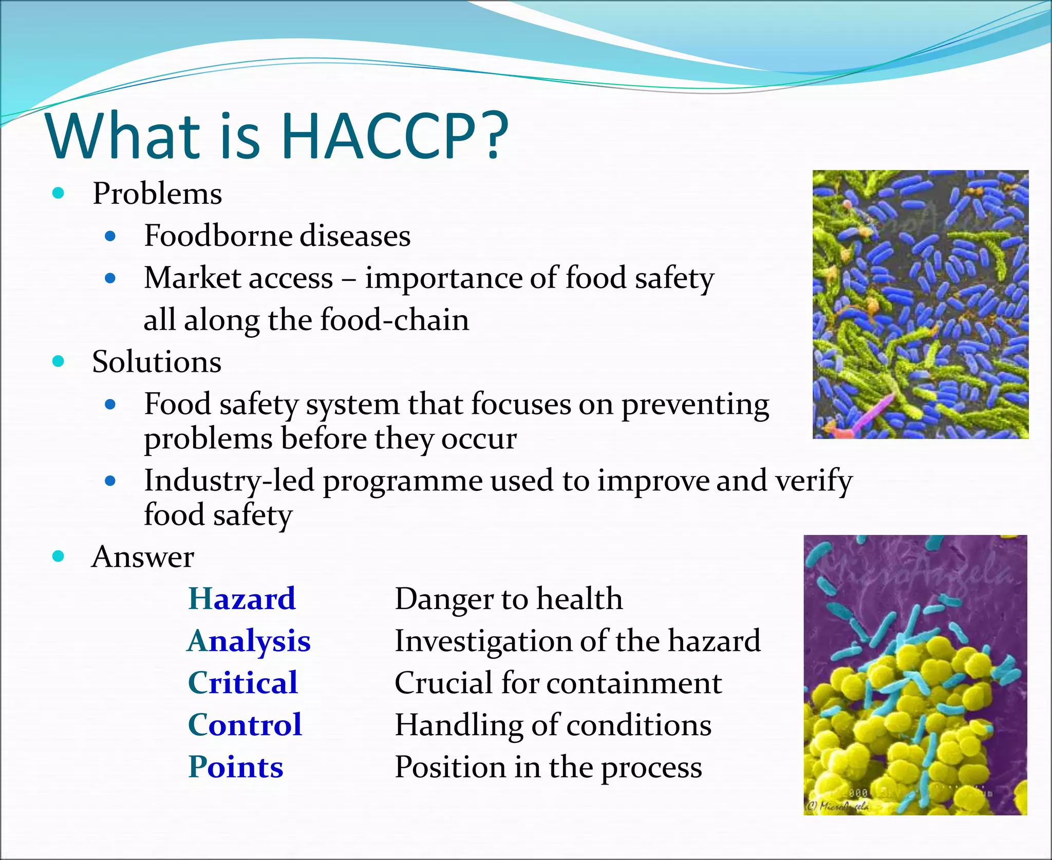 ISO 22000-HACCP AWARENESS TRAINING.ppt