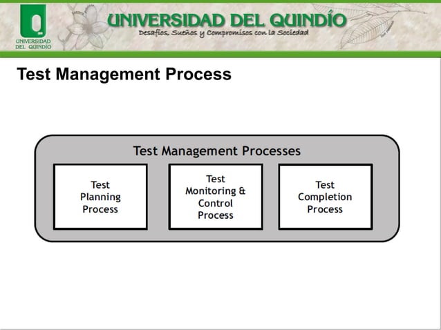 ISO 29119 and Software Testing - now what?? | PPT