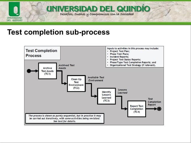 ISO 29119 and Software Testing - now what?? | PPT