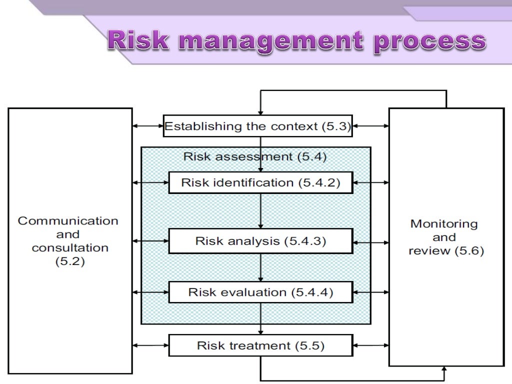 Iso 31000 Risk management Principles and guidelines