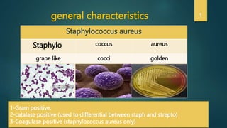 iso6888-1Staph aureus [Autosaved] (1).pptx