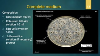 iso6888-1Staph aureus [Autosaved] (1).pptx