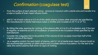 iso6888-1Staph aureus [Autosaved] (1).pptx