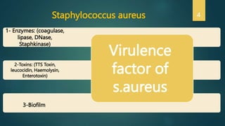 iso6888-1Staph aureus [Autosaved] (1).pptx