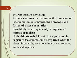 Isochromosomes | PPT