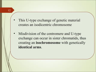 Isochromosomes | PPT