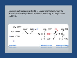 Isocitrate dehydrogenase mutations in hereditary diseaes | PPTX