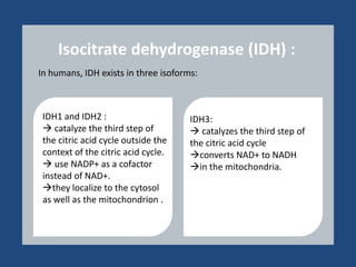 Isocitrate Dehydrogenase Mechanism