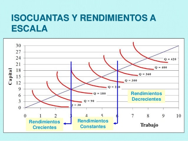 Isocuantas e isocostos