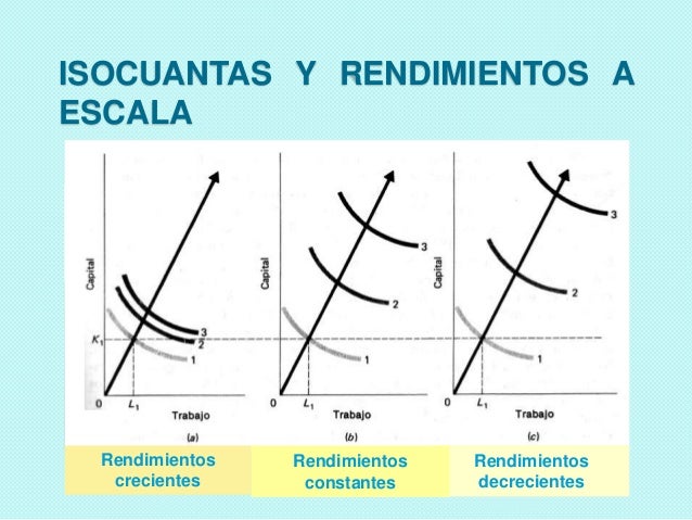 Isocuantas e isocostos