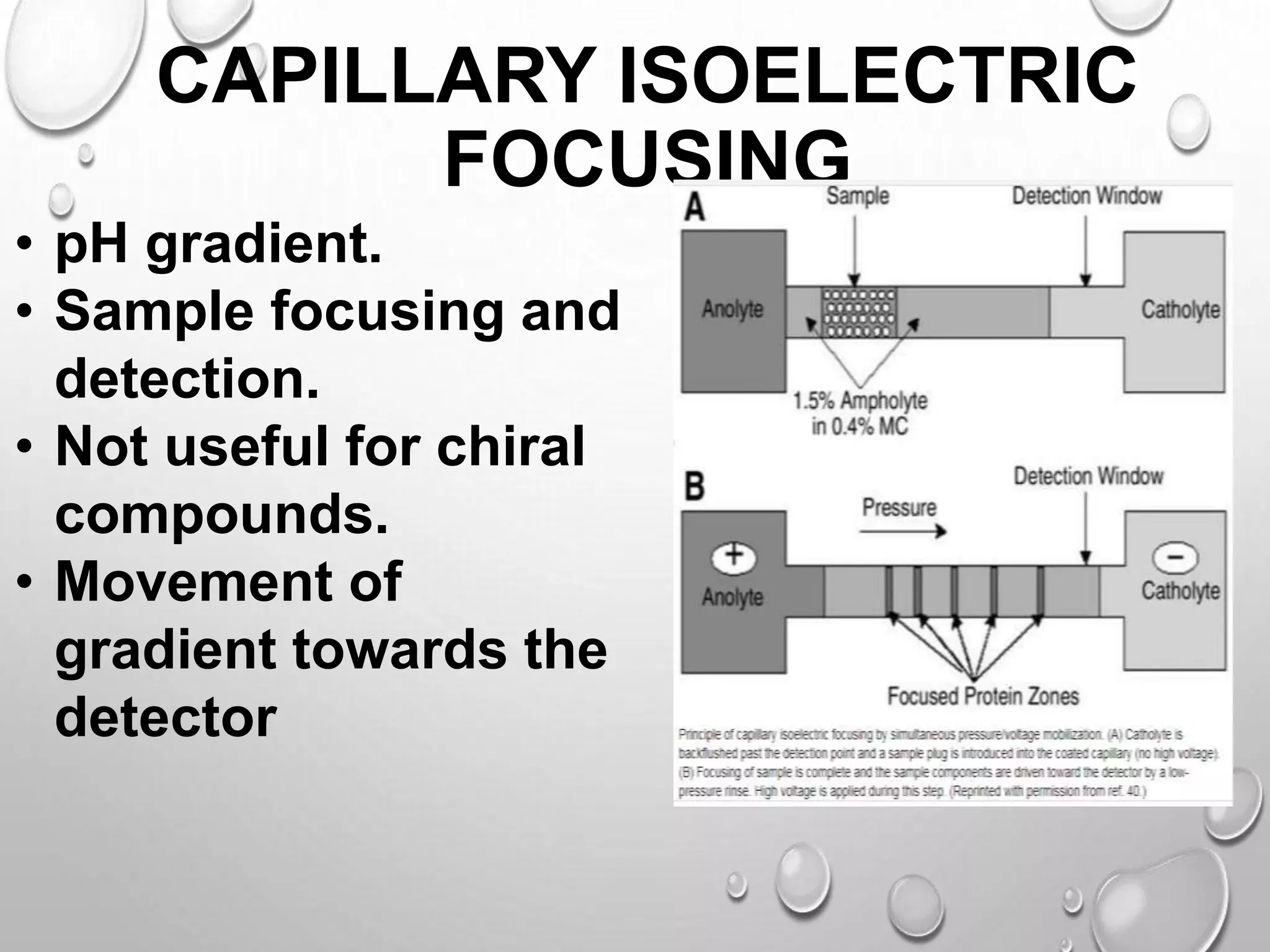 Isoelectric focusing | PPTX