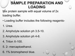 Isoelectric focusing | PPT