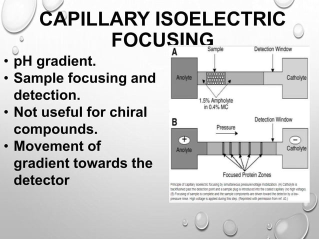 Isoelectric focusing | PPT