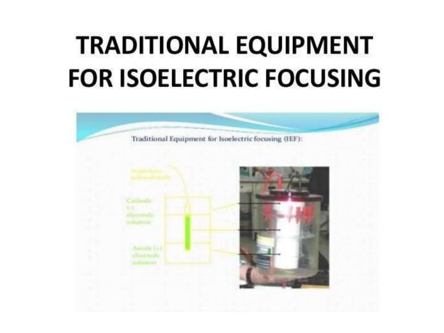 Isoelectric focusing analytical techniques .pptx